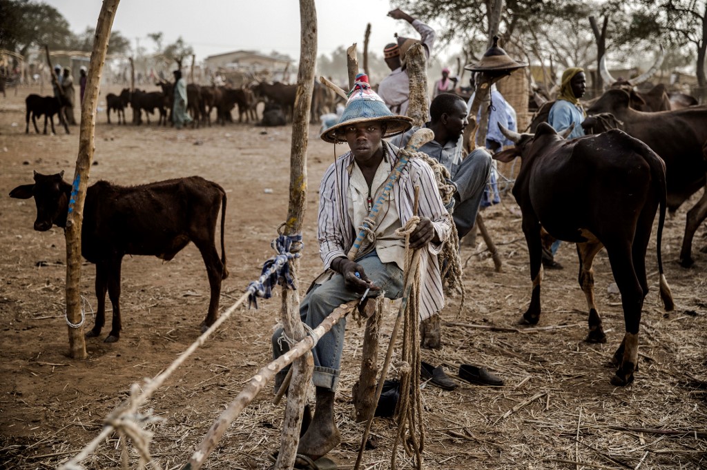 Who Are the Fulani People and Where Do They Live? | Al Bawaba