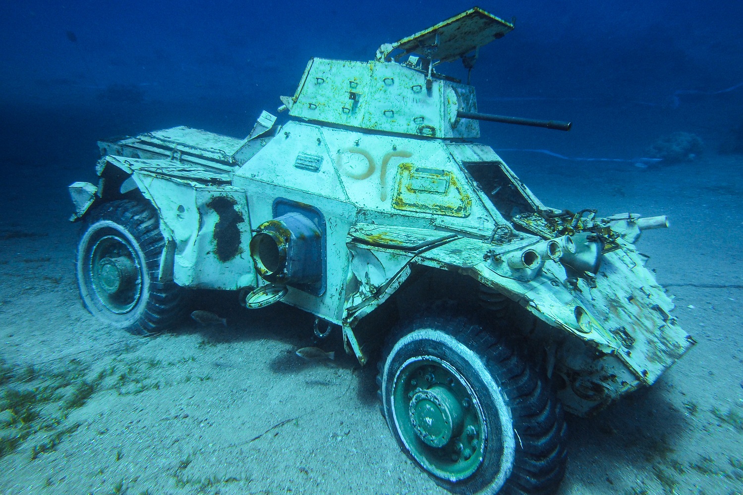 Jordan Opens The First Underwater War Museum | Al Bawaba