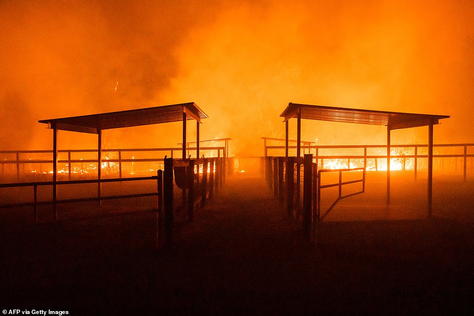 Nine Killed in California Wildfires, 200,00 People Evacuated | Al Bawaba