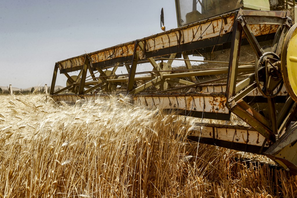 Syrian Farmers Rush to Harvest And Beat The Crunch! | Al Bawaba