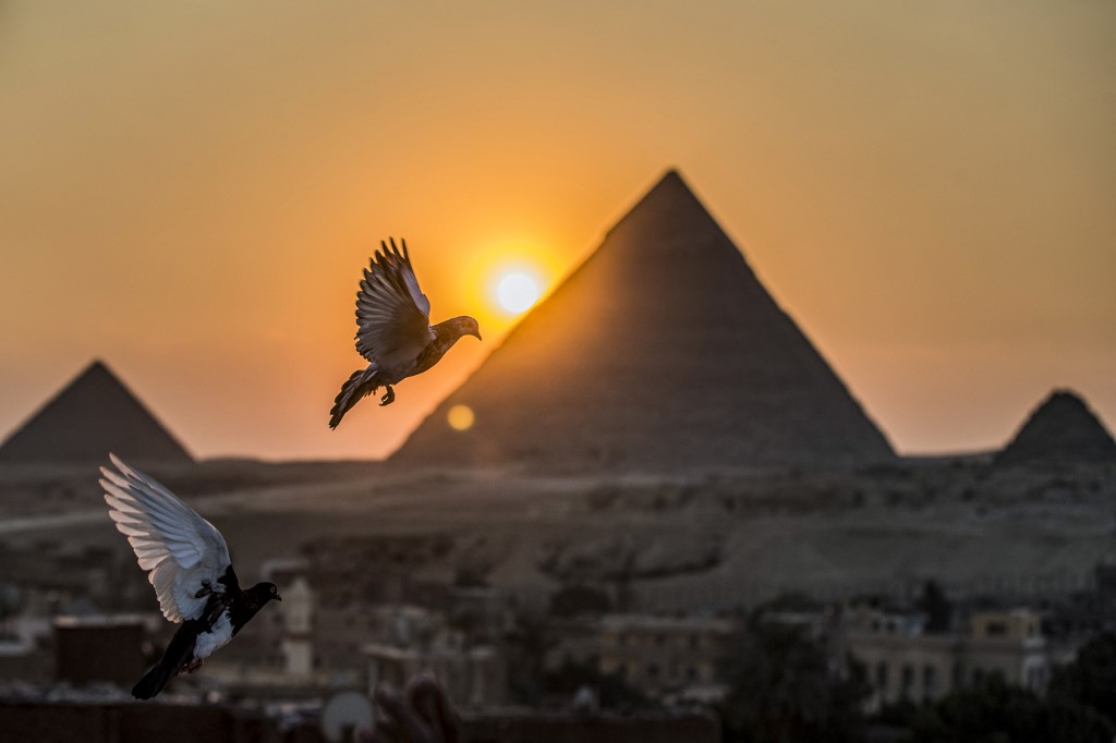 Doves Over The Majestic Giza Pyramids | Al Bawaba
