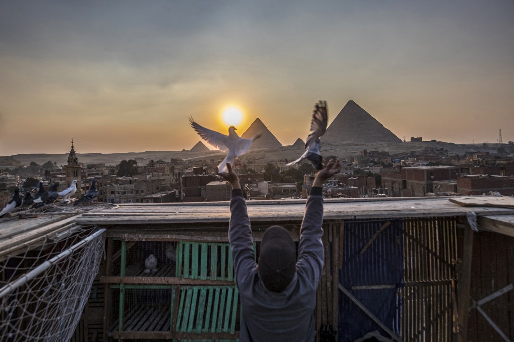 Doves Over The Majestic Giza Pyramids | Al Bawaba