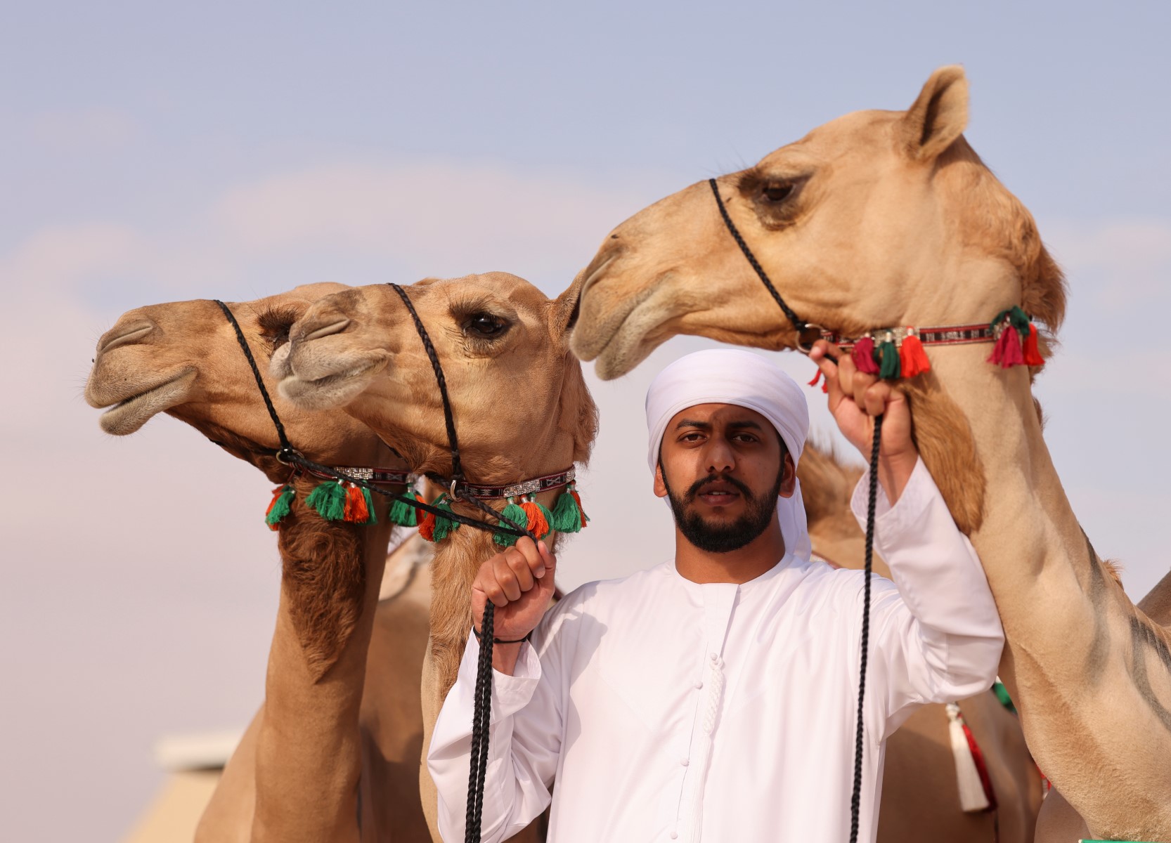 The UAE Holds Its Mazayin Dhafra Camel Fest | Al Bawaba