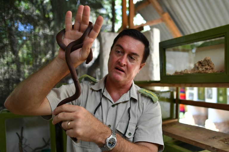 Snakes Bites in Africa: Where is the Anti-Venom? | Al Bawaba