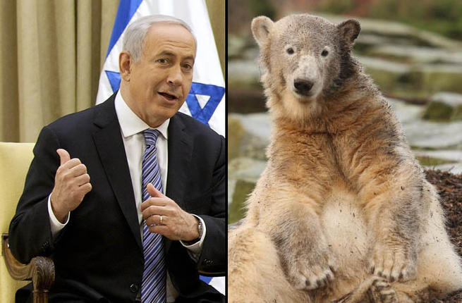 It's a jungle out there! Bringing out the animal in the Middle East's ...