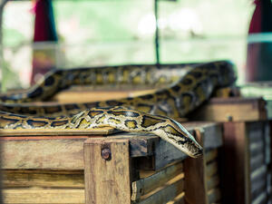 Editor's Choice | Al Bawaba