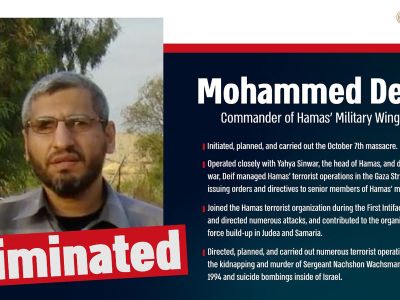 Jordanian-Palestinian Reema Dodin Appointed Senior Staffer in Joe Biden ...