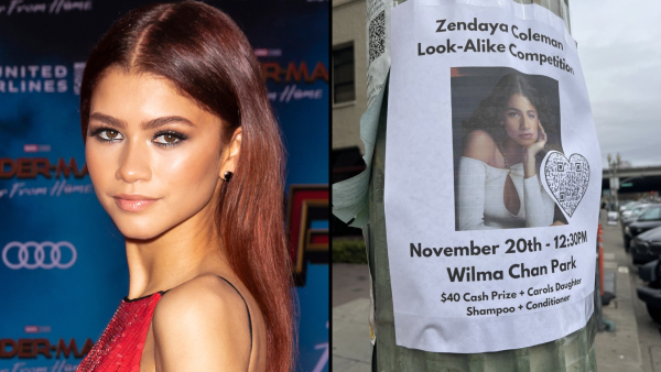 Zendaya follows Zayn and Timothee in look-alike competition, winner ...