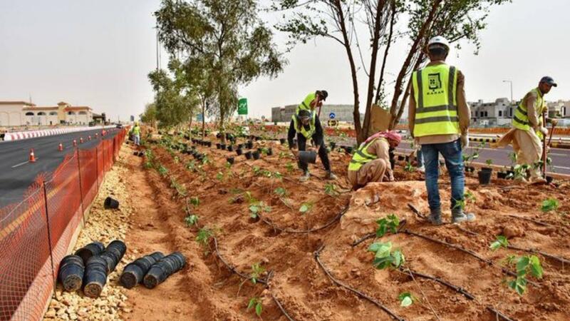 'Green Riyadh' is a Project to Help The City Cope With Environmental ...