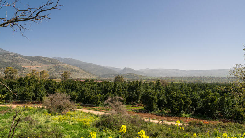 Israel Deploys New Elite Unit "Rephaim" at the Northern Border for the ...