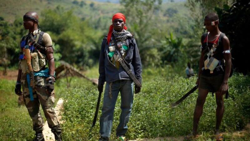 The Fight For The Central African Republic Gathers Speed as Rebels Gain ...