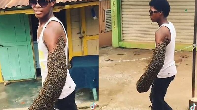 Crazy Man Transports Bee Colony Around his Arm | Al Bawaba