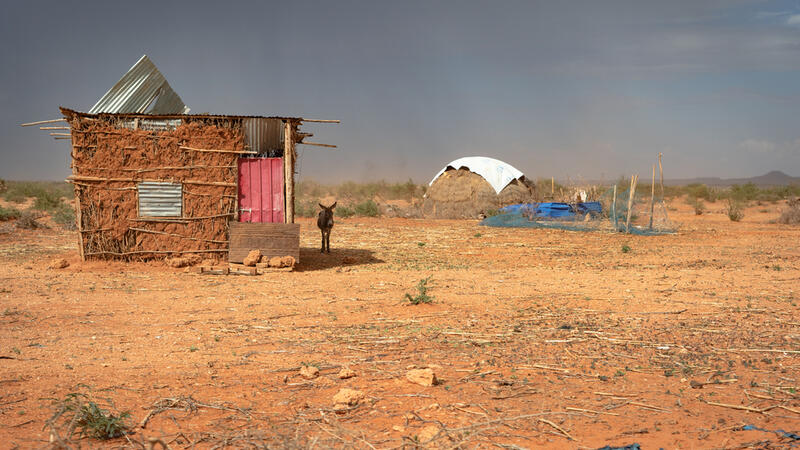 Climate Refugees are Not Considered Legal Persons Under International ...