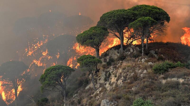 Huge Forest Fires Break Out in Sicily | Al Bawaba