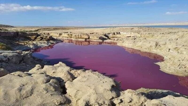 Oil Galore. Why is The Dead Sea Turning Black After Red? A Social Media ...