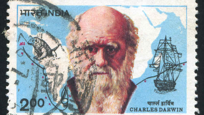 Charles Darwin's 200 Years Old Microscope for Sale | Al Bawaba