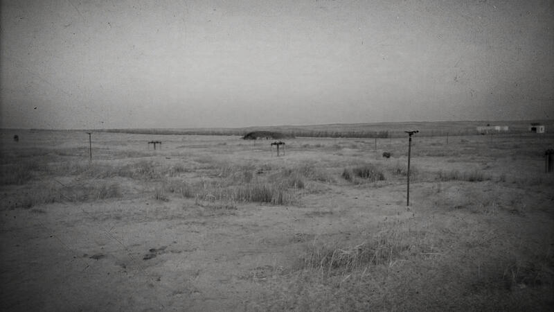 Egypt Sells Infertile Land for Agriculture | Al Bawaba