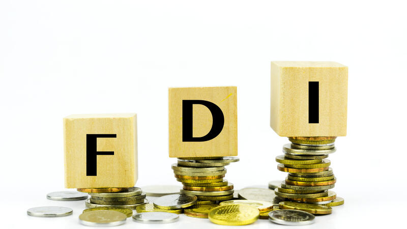 UAE's FDI inflows to hit $22 billion this year | Al Bawaba