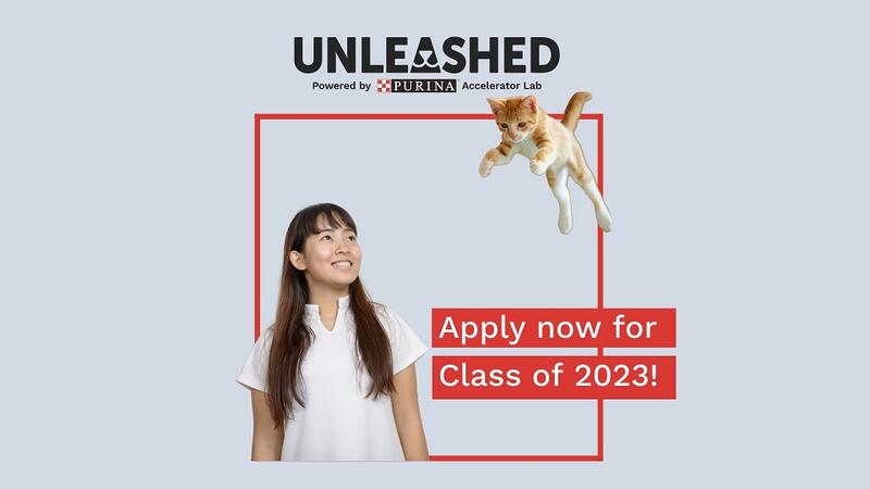 Nestlé Purina PetCare’s UNLEASHED Accelerator Launches 4th global ...