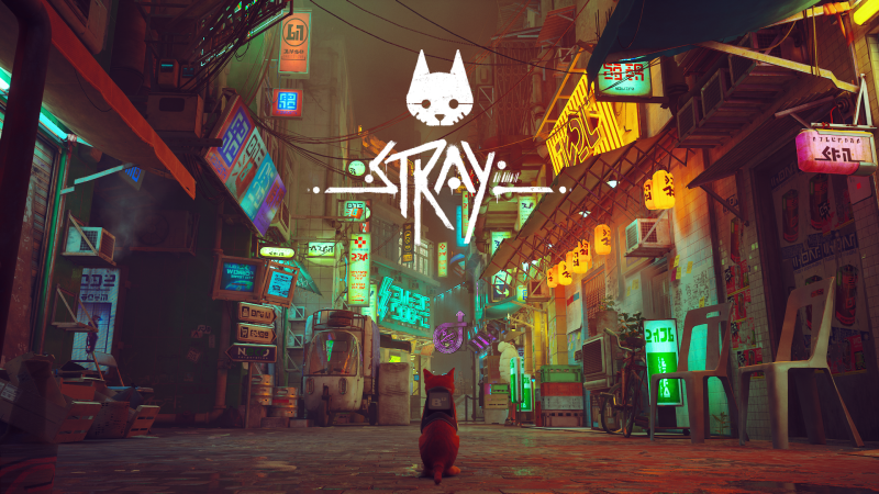 BlueTwelve Studio's Stray gets an animated movie! | Al Bawaba
