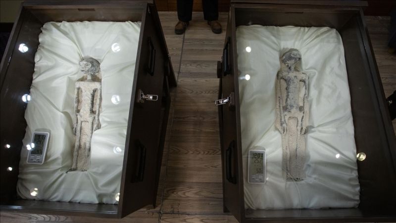 A puzzling space discovery: 'Alien Bodies' leave the world bewildered ...