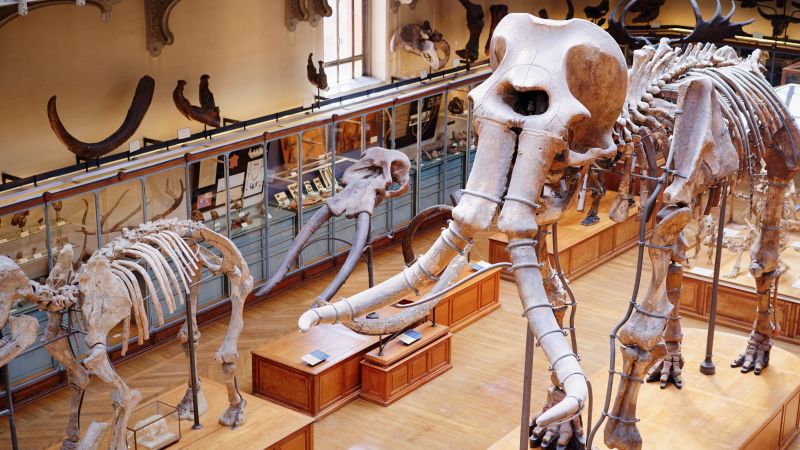 Scientists face controversy by trying to revive extinct animal | Al Bawaba