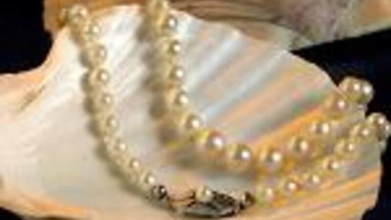 Dubai Pearl trade records over 300 per cent year-on-year growth during ...