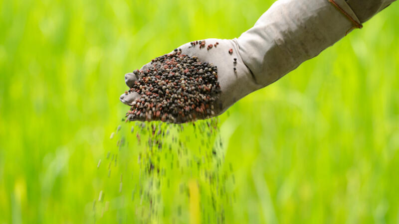 Algeria Partners With China to Build $6 Billion Phosphate Plant | Al Bawaba