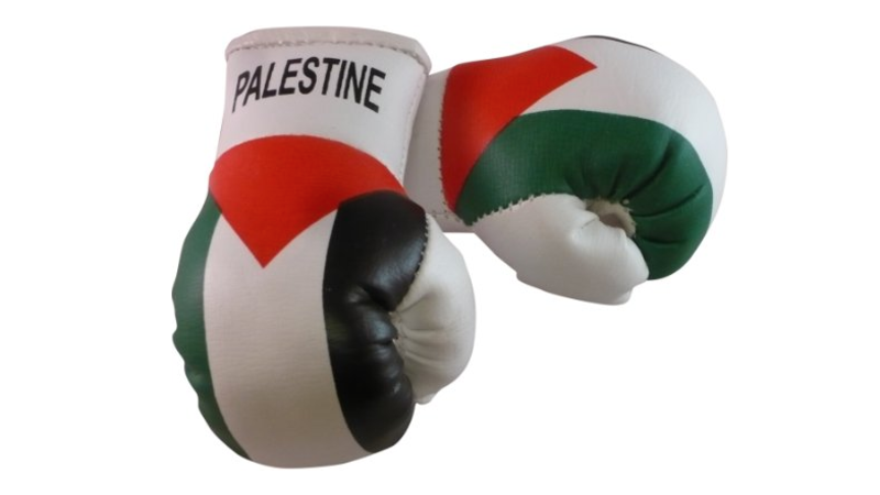Palestinian-Danish boxers touch gloves to promote sport | Al Bawaba