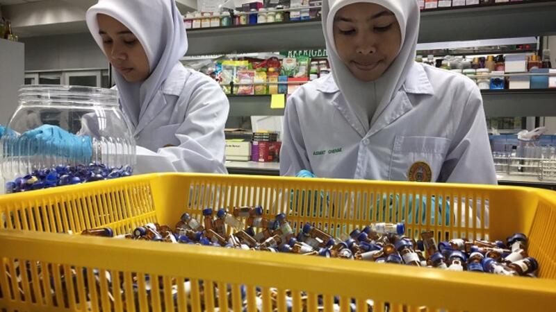 Halal Expo Launches in Dubai as Global Halal Economy Hits $6.4 Trillion ...