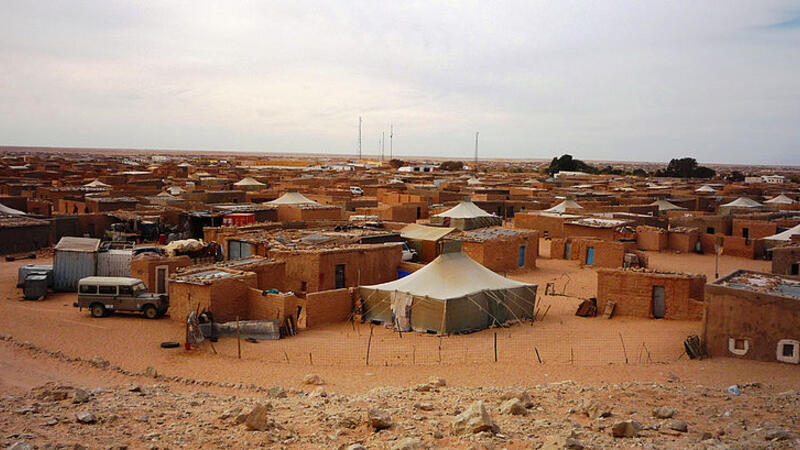 The Saharawi perspective on Africa's "last colony": the case of Western ...