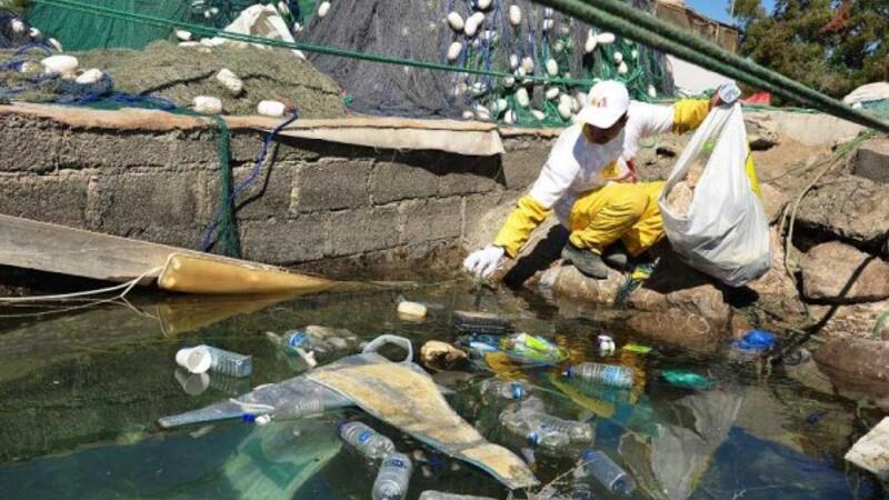 Emirates Environmental Group concludes 15th Clean-Up UAE campaign with ...