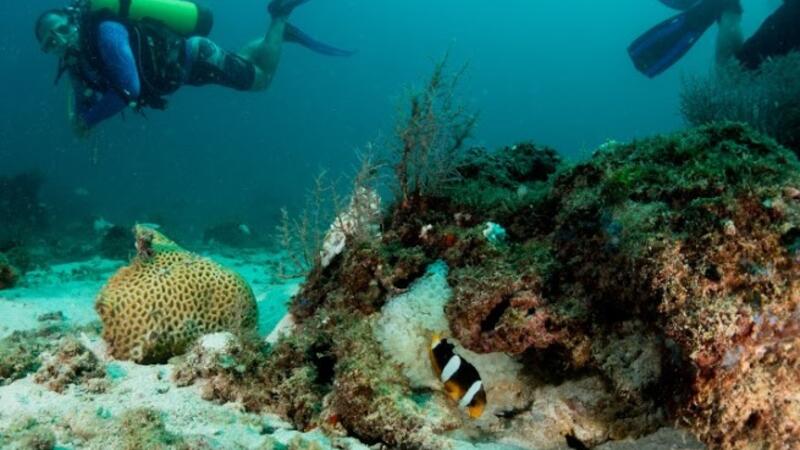 Bahrain Tourism and Exhibition Authority Announces First Tourist Pearl ...