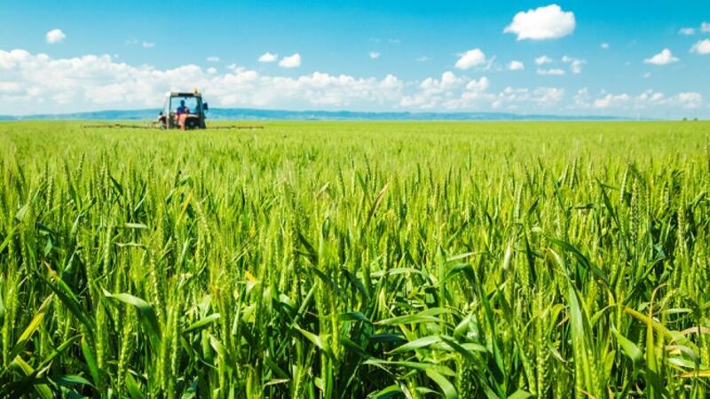 Saudi Arabia Adds 4 New Crops To Export Ban List Sources Al Bawaba saudi-arabia-adds-4-new-crops-to-export-ban-list-sources-al-bawaba