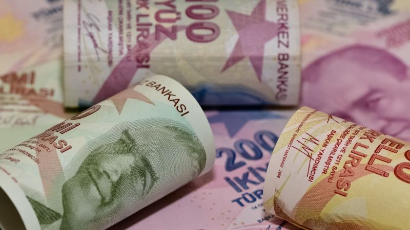 Turkey inflation down in May – Survey | Al Bawaba