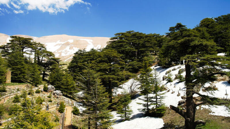 Must-See Middle East Nature Reserves | Al Bawaba