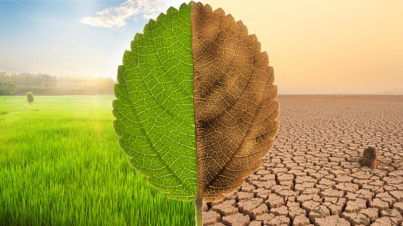 Global Warming Solutions That Can Save Our Planet | Al Bawaba