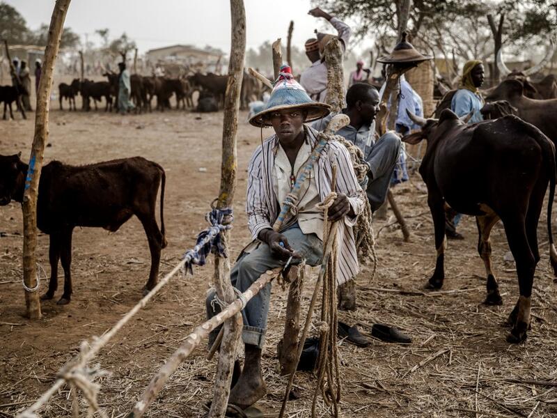 Who Are the Fulani People and Where Do They Live? | Al Bawaba