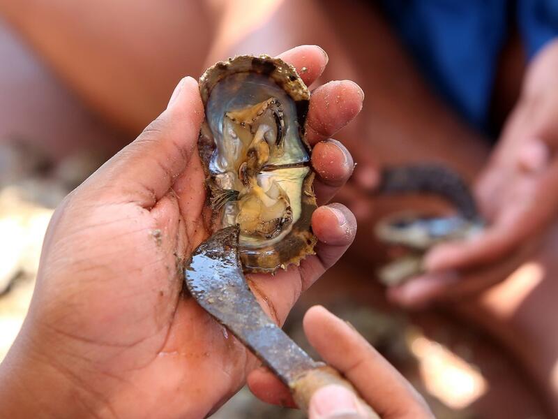 Pearl Diving Festival in Kuwait | Al Bawaba