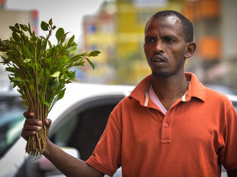 Ethiopian Rehab Centre Welcomes Khat Addicts | Al Bawaba