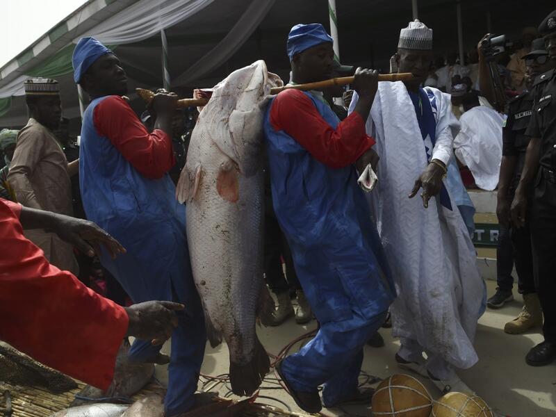 Argungu Fishing Fest in Nigeria is About Peace | Al Bawaba