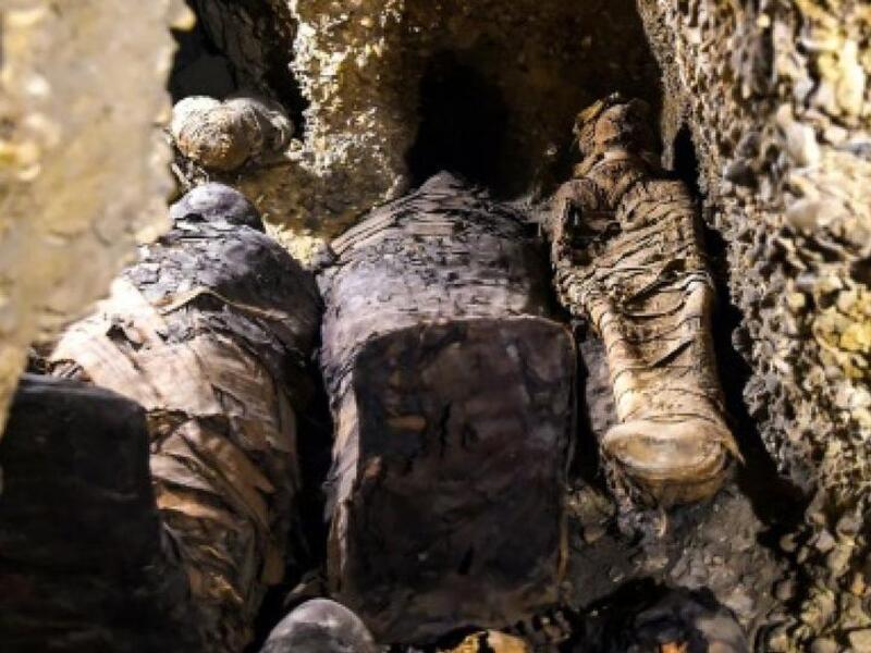 Editor's Choice | Al Bawaba