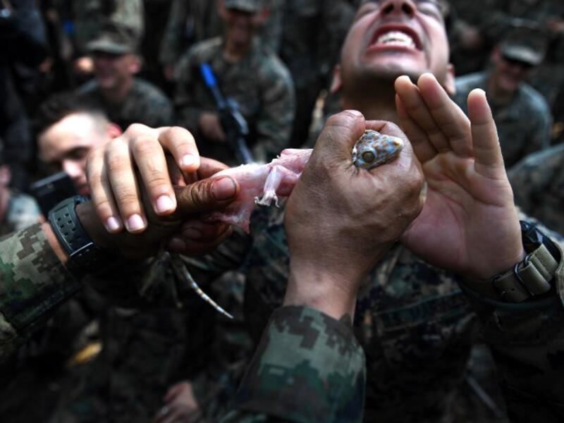 US Marine Drinks Snake Blood in 'Cobra Gold' Thai Jungle Survival ...