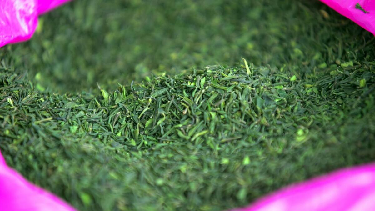 Ethiopian Rehab Centre Welcomes Khat Addicts | Al Bawaba