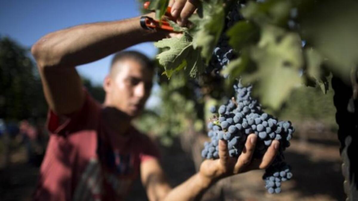 Beyond Bashar al-Assad: 12 things you need to know about the Alawis ...