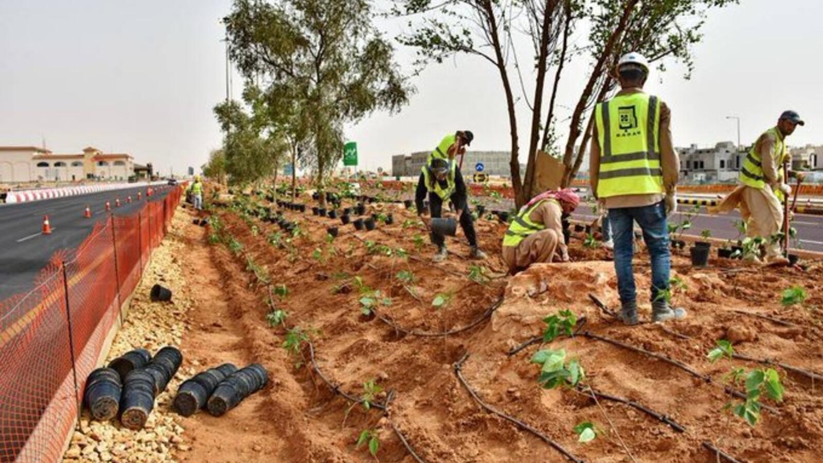 'Green Riyadh' is a Project to Help The City Cope With Environmental ...