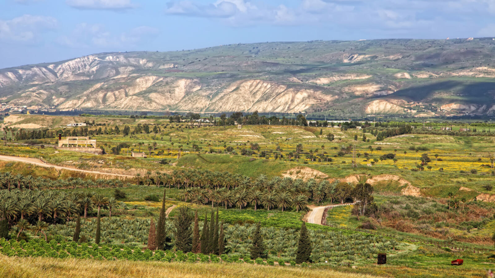 Jordanian Returns to Agriculture. Here is his Story | Al Bawaba