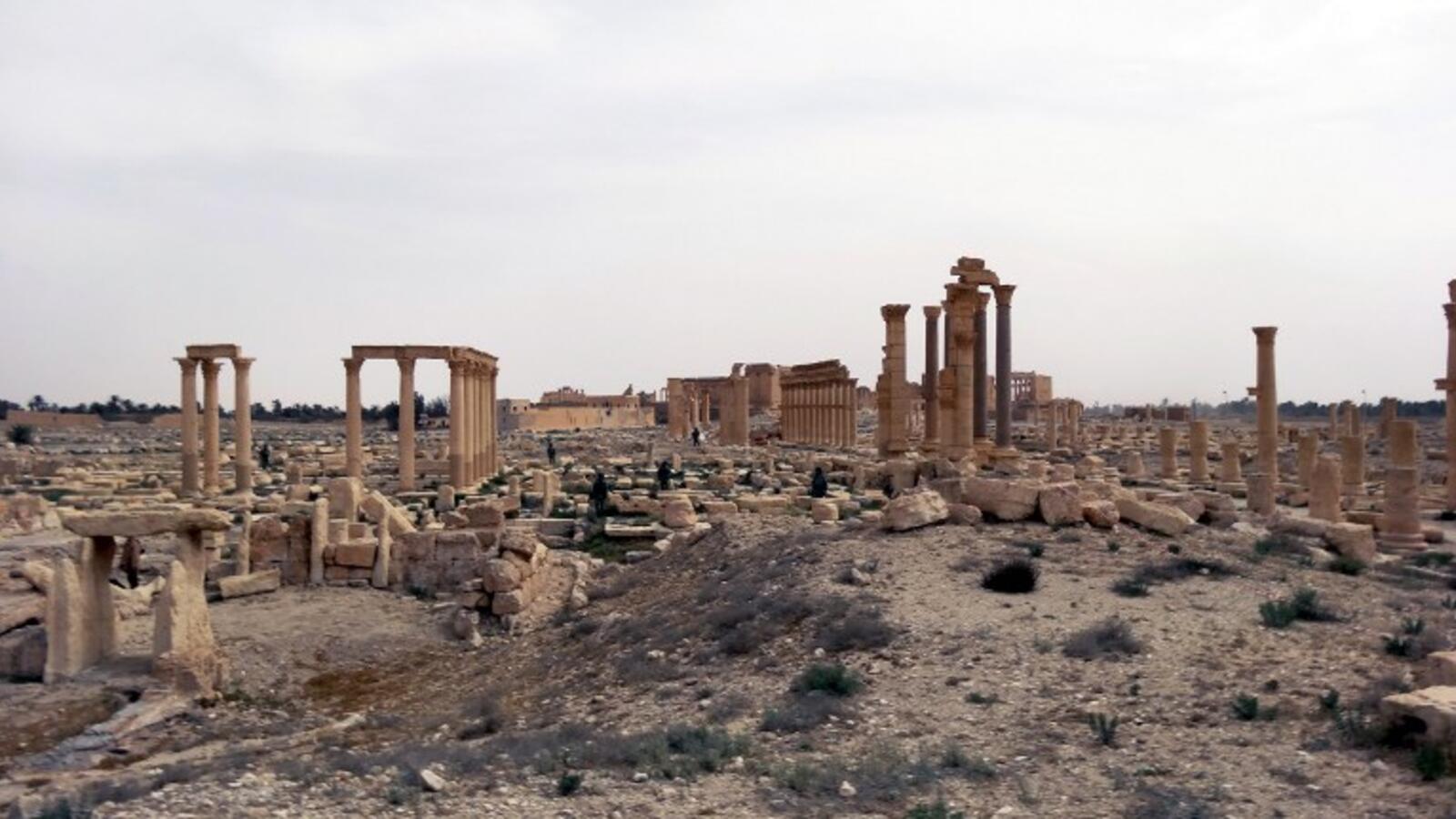Leaked documents: Assad, Daesh colluded on Palmyra battle | Al Bawaba