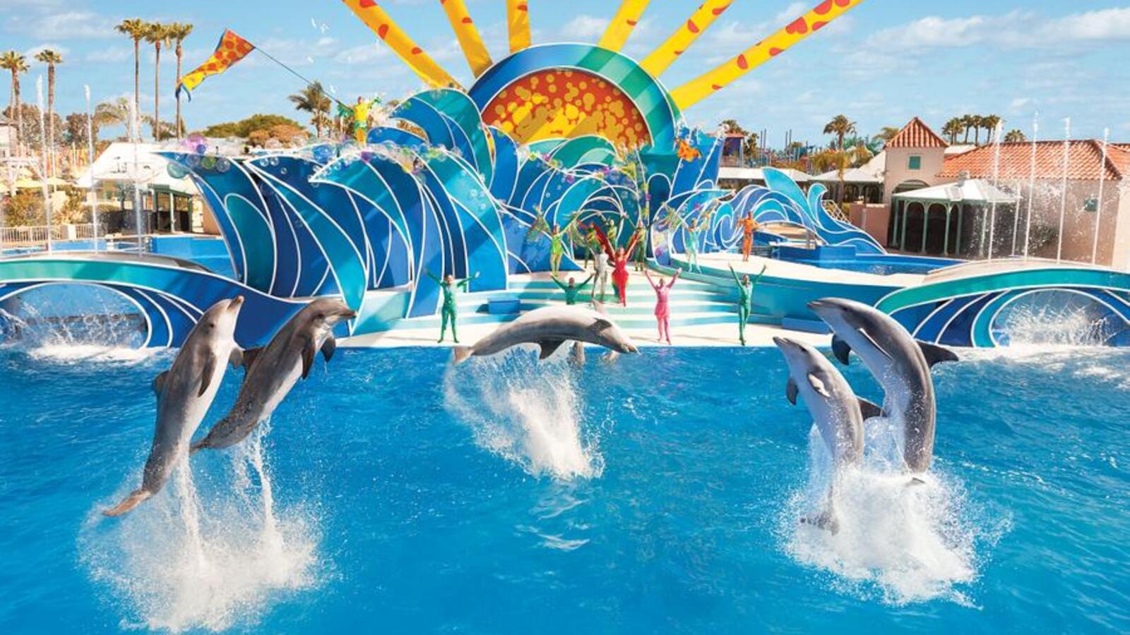 After Dubai controversy, Sea World mulls Saudi entry | Al Bawaba