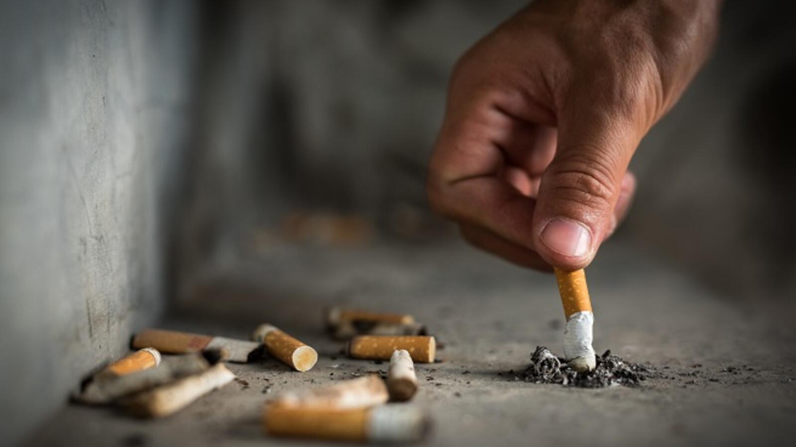 Saudi Arabia to Join WHO in Anti-Smoking Campaign | Al Bawaba